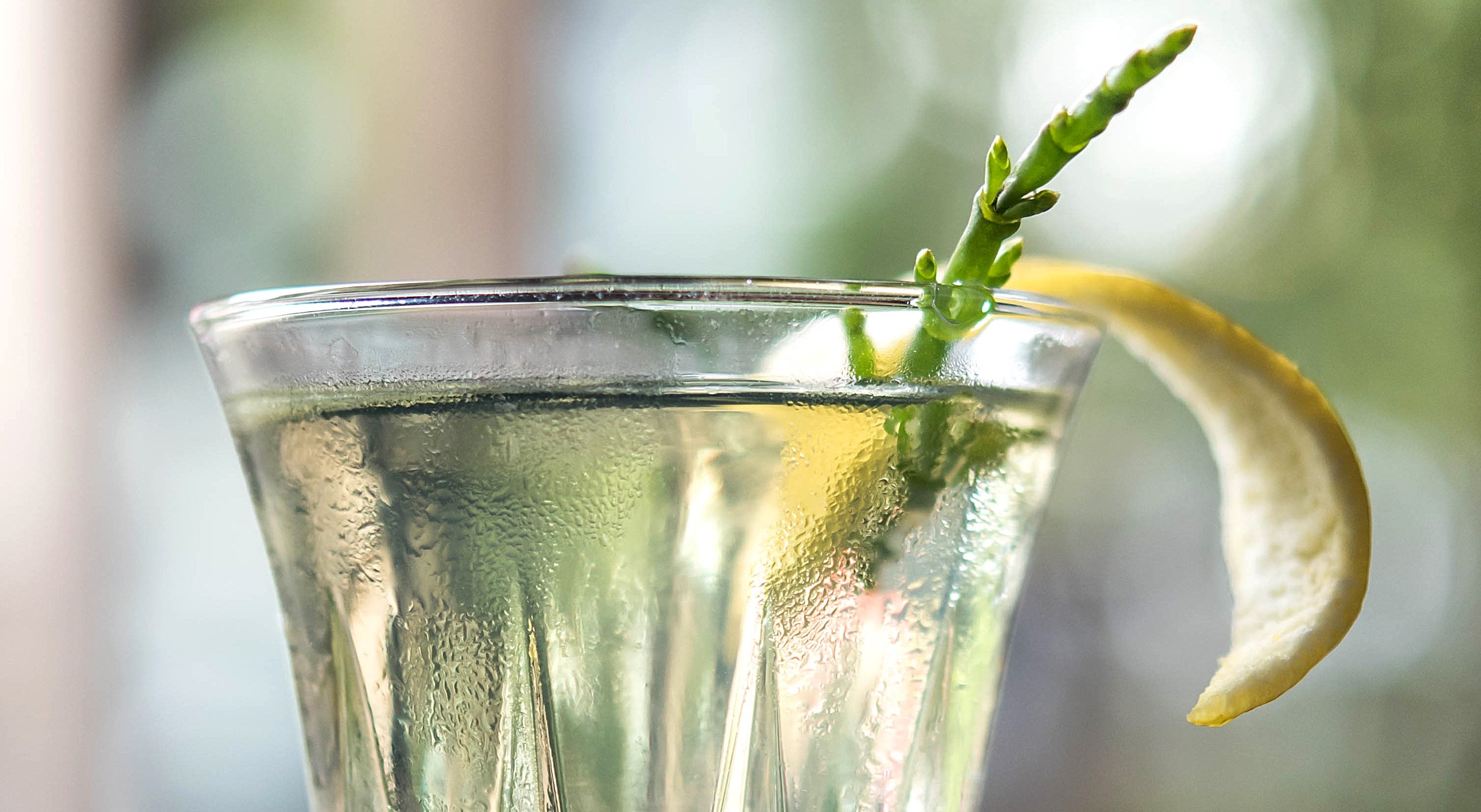 Have a Frisians Cocktail! A Rich Composition – Frisia Coast Trail